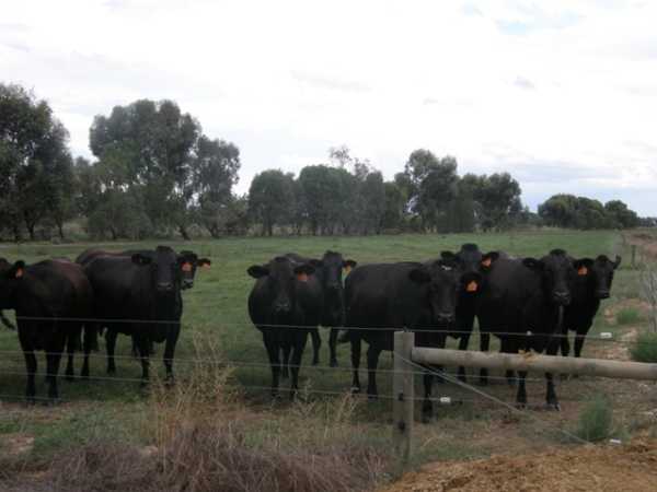 Portfolio – The Woodhouse